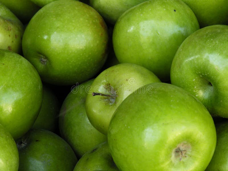 Green Apples stock image. Image of food, fruits, crisp - 7743639