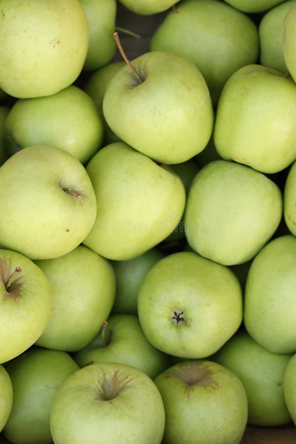 Green apples stock photo. Image of lifestyle, food, health - 7837190