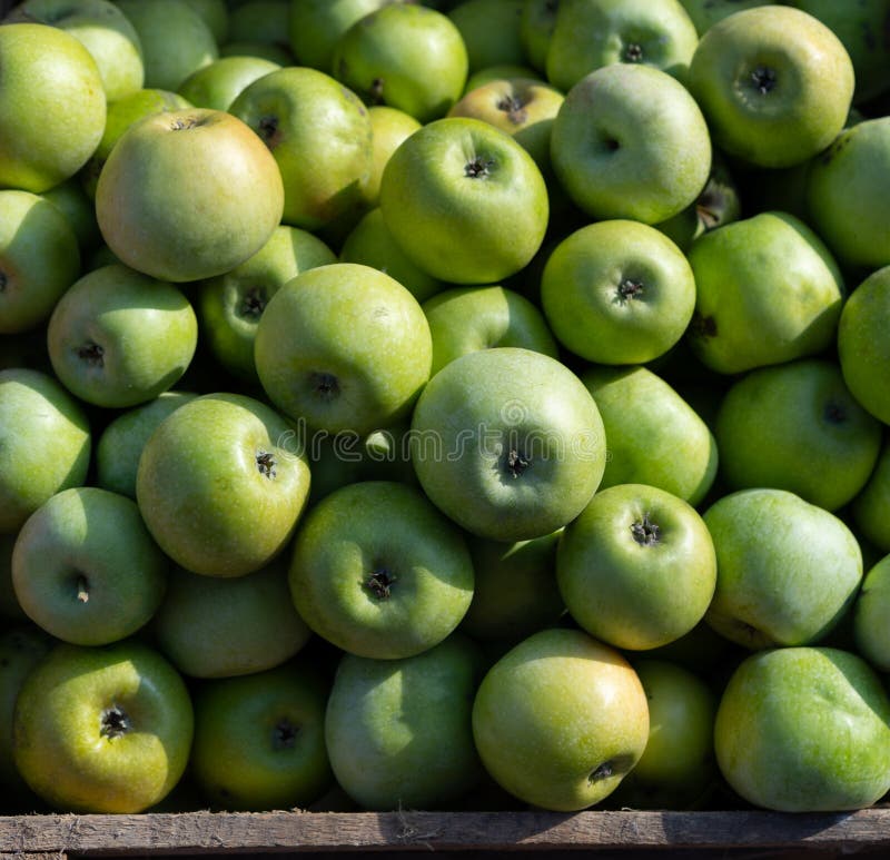 Green Apples in a Box for Sale Stock Photo - Image of crate, fresh ...