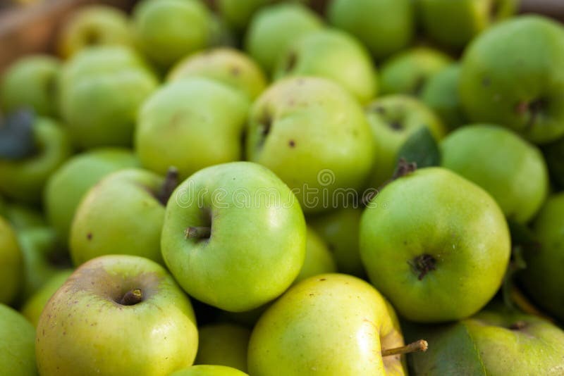 Green apples in box stock photo. Image of ripe, vegetarian - 45873774