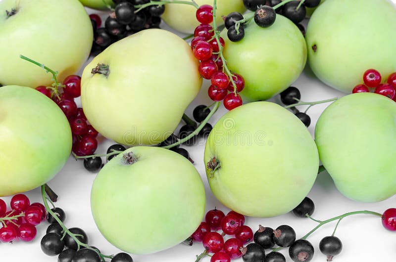Green apples with currant stock photo. Image of healthy - 42824886