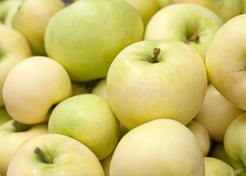 Green apples stock image. Image of yellow, mouth, natural - 41311429