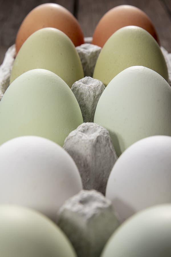 Green Araucana Eggs and White Eggs Stock Image - Image of eggs, kitchen ...