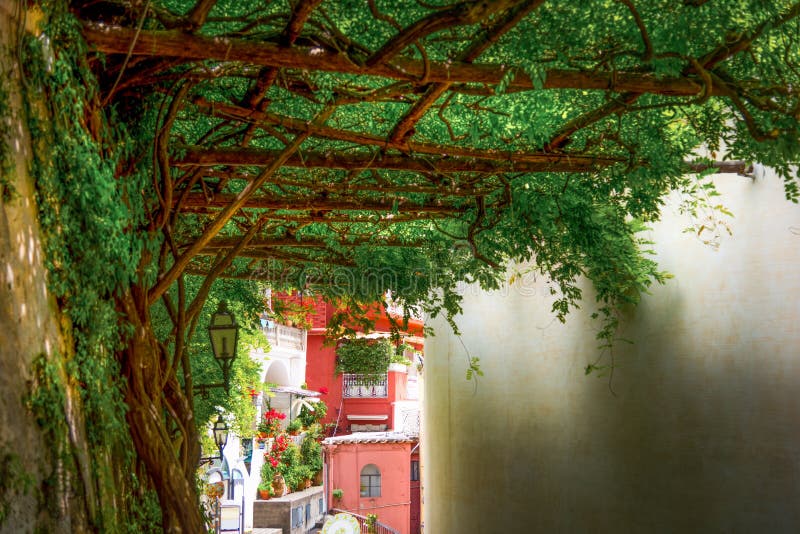 Green arbor in Positano stock image. Image of italy - 171046603