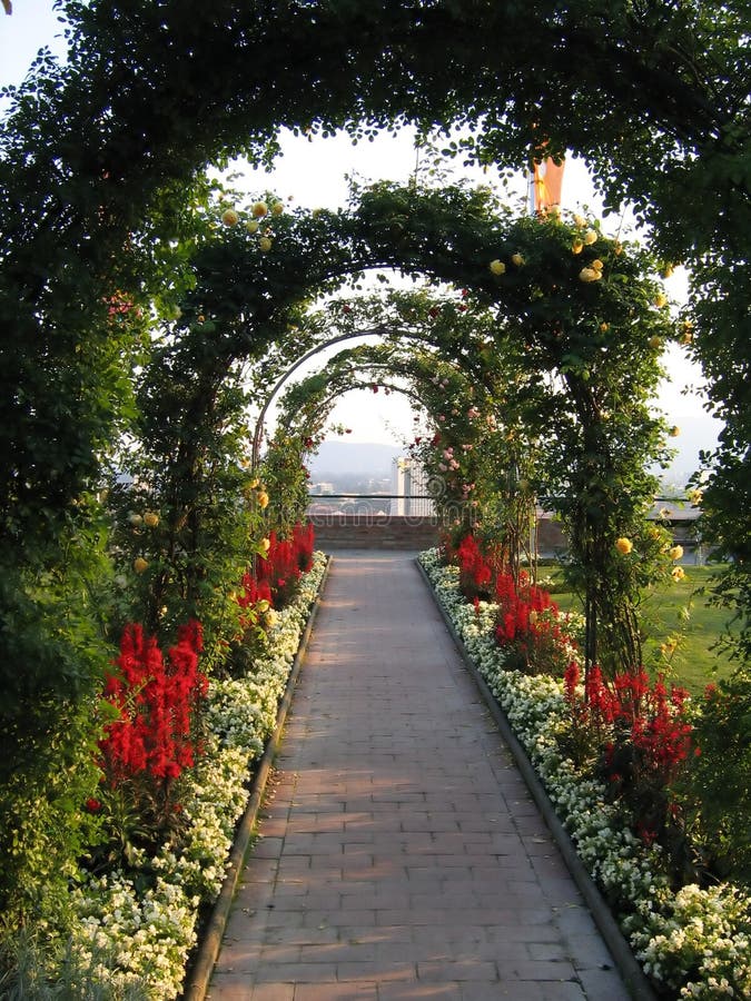 Green arch stock image. Image of wedding, roses, outdoor - 182253
