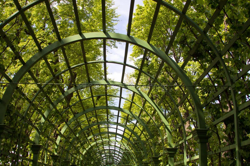 Green arch stock image. Image of plant, foliage, arch - 25034195