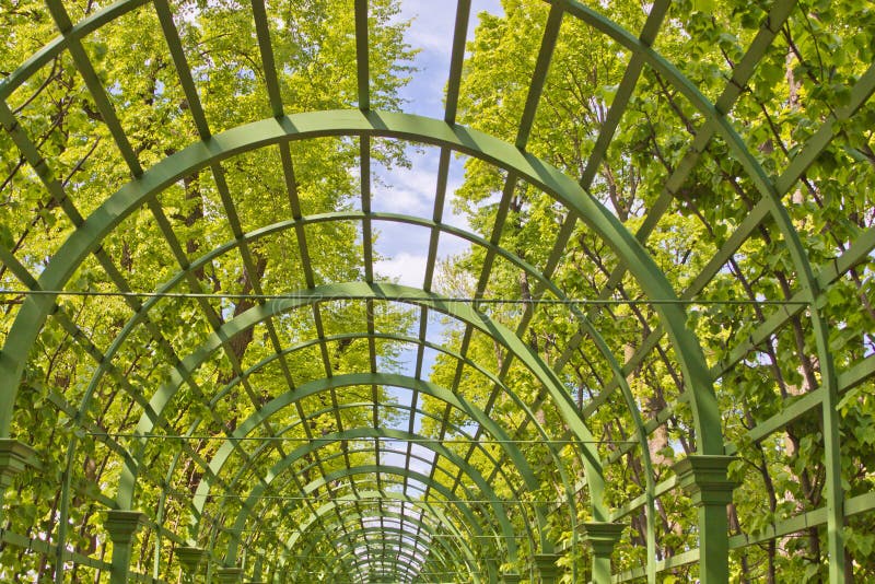 Green arch stock photo. Image of shady, garden, tranquil - 26084260