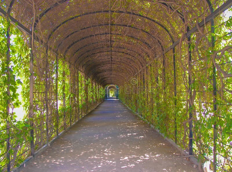 Green Arch stock photo. Image of romantic, green, vienna - 37846742