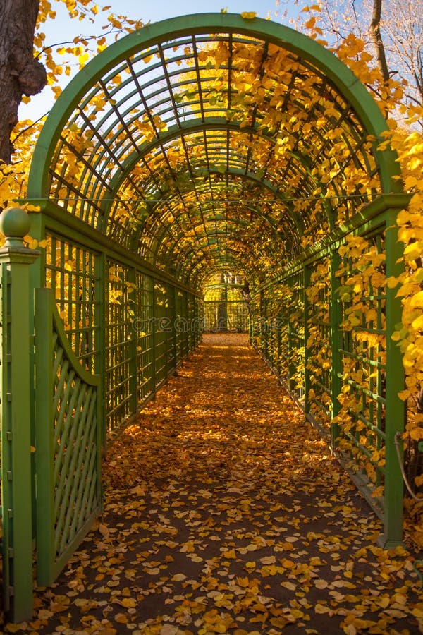 Green arch stock image. Image of park, landscaped, door - 67272199