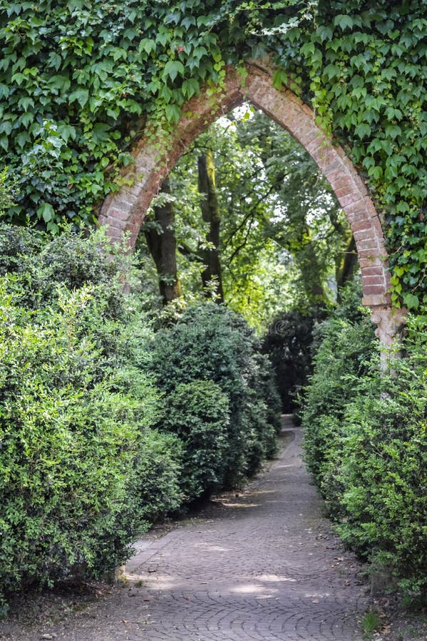 Green arch stock image. Image of park, landscaped, door - 67272199