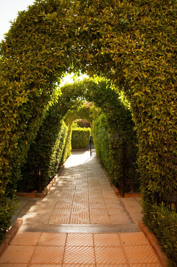 Green arch stock photo. Image of rest, sunshine, foliage - 40364882