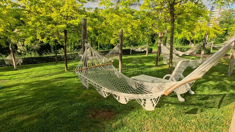 Green Area with Empty Hammocks Swaying in the Wind, Copious Space for ...