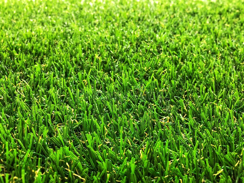 Green Artificial Grass , Copy Space Layout Stock Photo - Image of frame ...