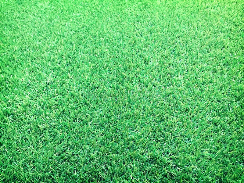 Green Artificial Grass Texture or Background and Empty Space Stock ...