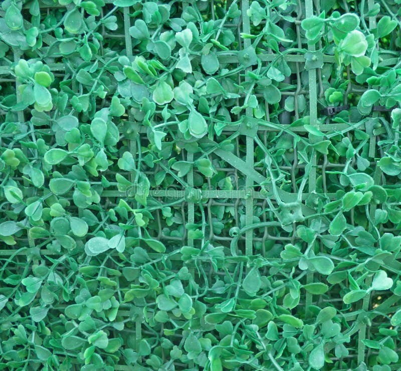 Green Artificial Leaves Texture Stock Photo - Image of fresh, branch ...