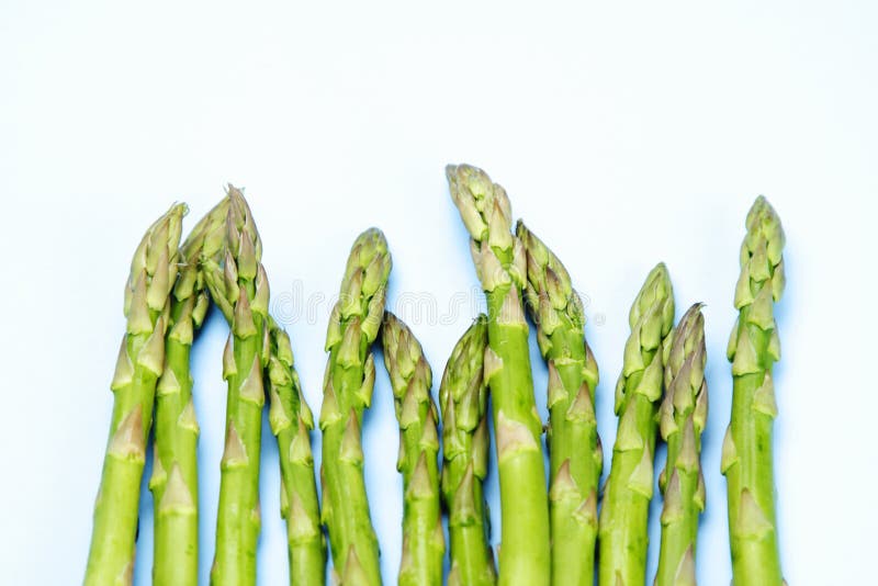 Green asparagus stock photo. Image of diet, grocery, veggies - 1583212 Green asparagus stock photo. Image of diet, grocery, veggies - 1583212