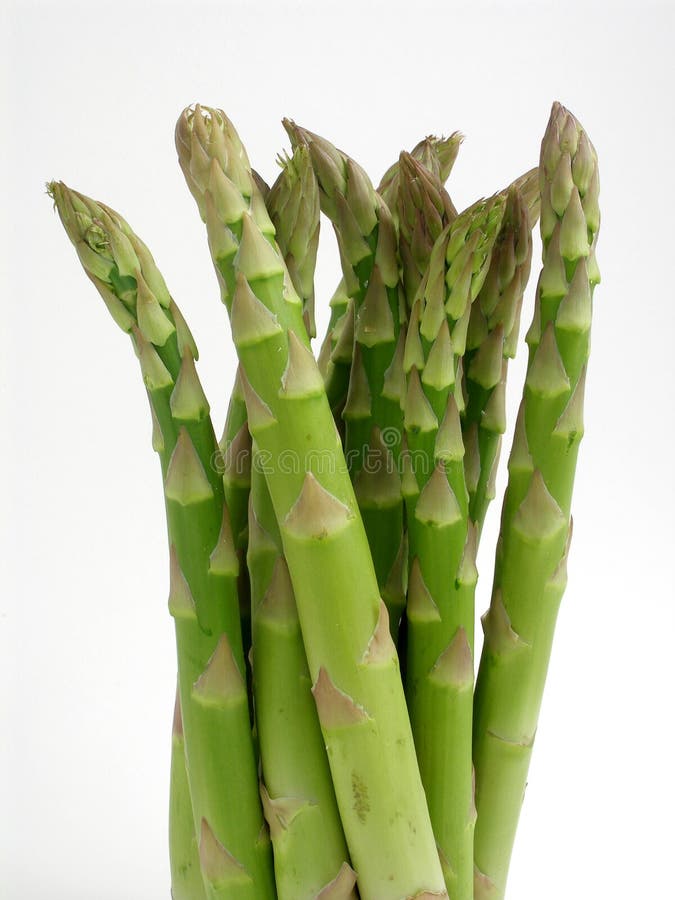 Green asparagus stock photo. Image of chef, vegetable - 1985038 Green asparagus stock photo. Image of chef, vegetable - 1985038