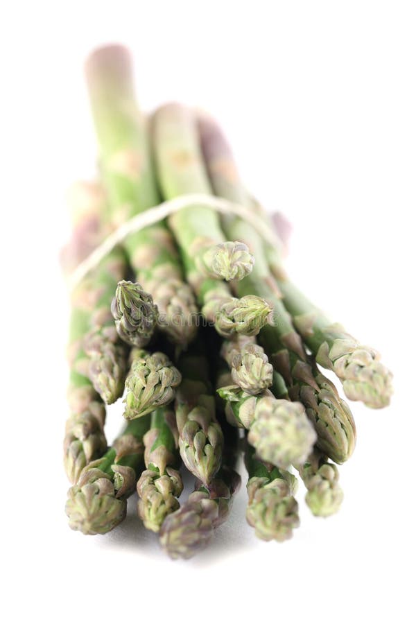 Green asparagus stock image. Image of vertical, sprout - 26232237