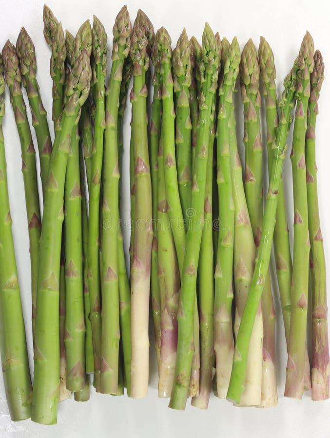 Green Asparagus with Long Stem Green Asparagus with Long Stem Stock ...