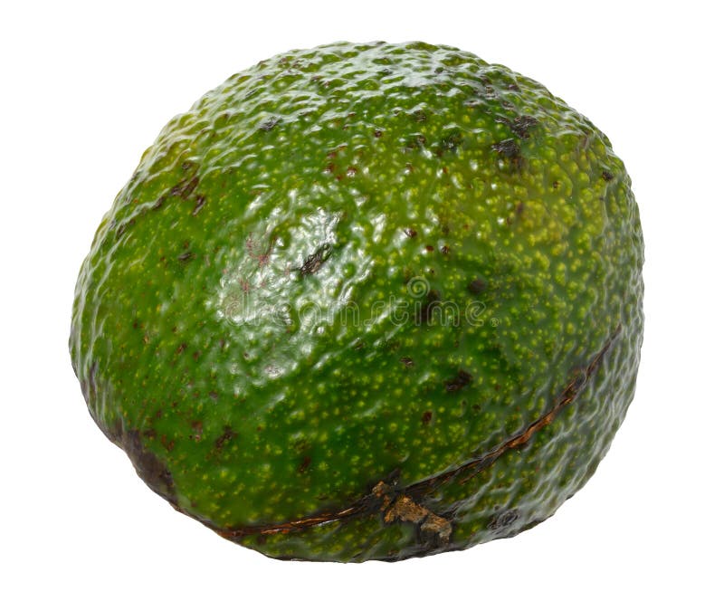Green Avocado Peel on Isolated Background, Half Stock Photo - Image of ...