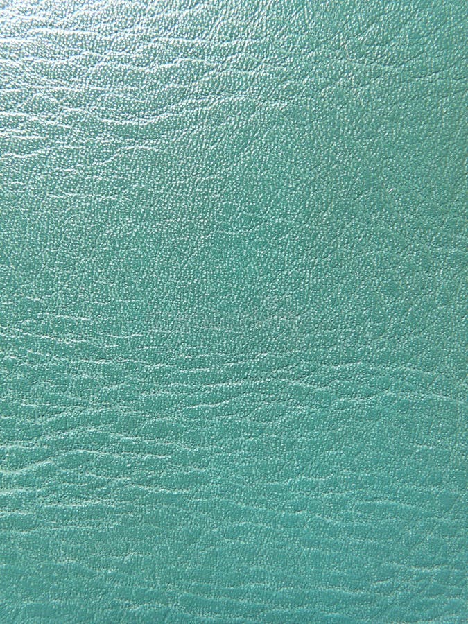 Green Backdrop stock photo. Image of smooth, green, veined - 11857262