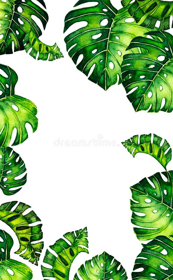 Palm Tree Page Border