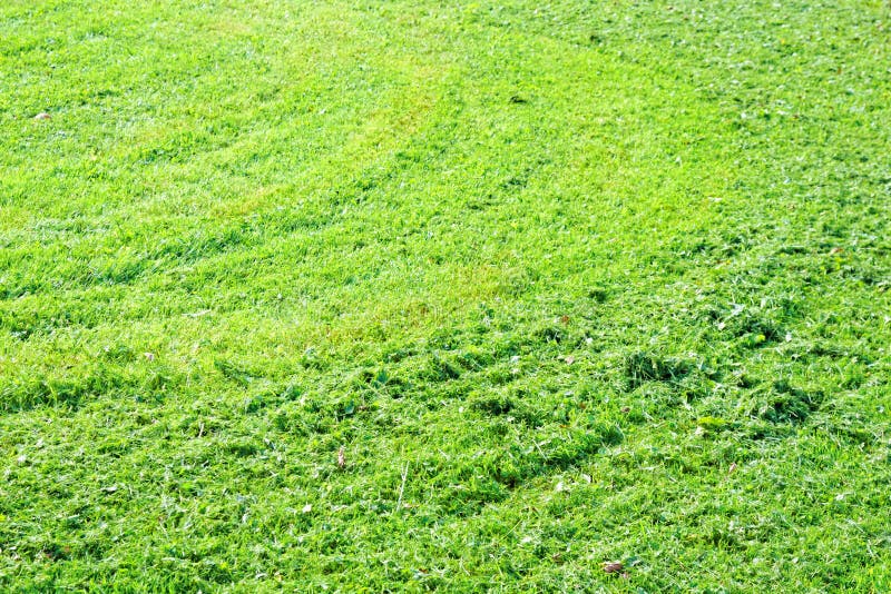 A Field Of Freshly Cut Turf Stock Photo - Image of brown, natural: 5102288