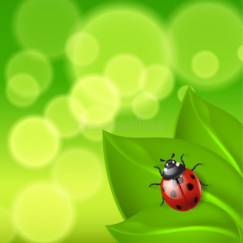 Realistic Ladybug Shadow Stock Illustrations – 79 Realistic Ladybug ...