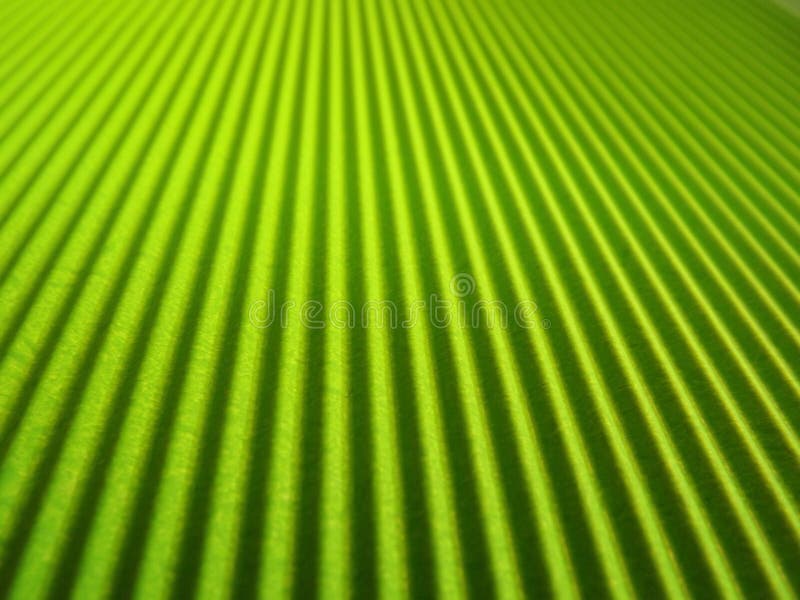 Green Background with Longitudinal Stripes As an Abstraction Stock ...