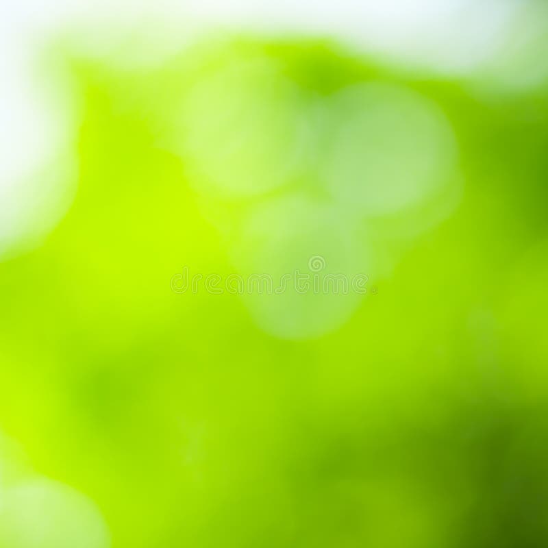 Green background stock image. Image of blur, sunny, abstract - 42422427