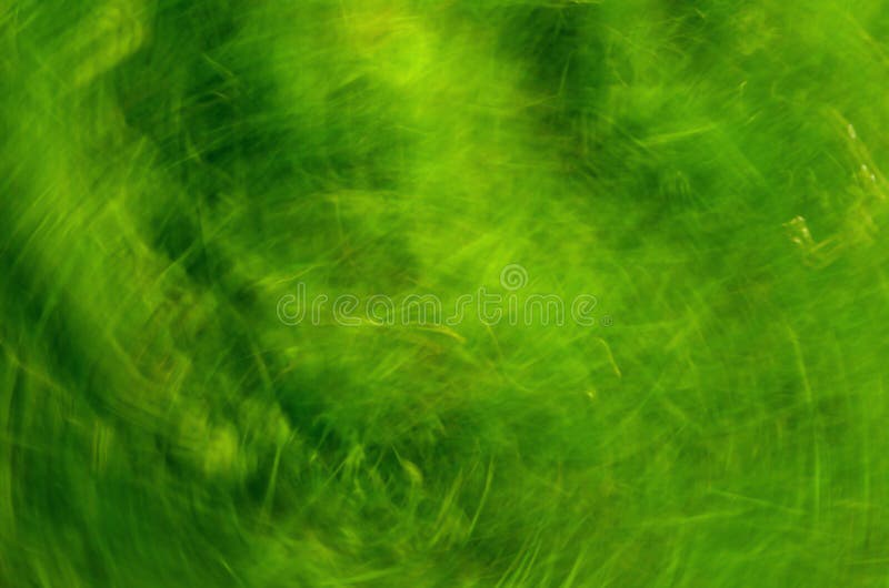 Green background stock illustration. Illustration of beauty - 45729378