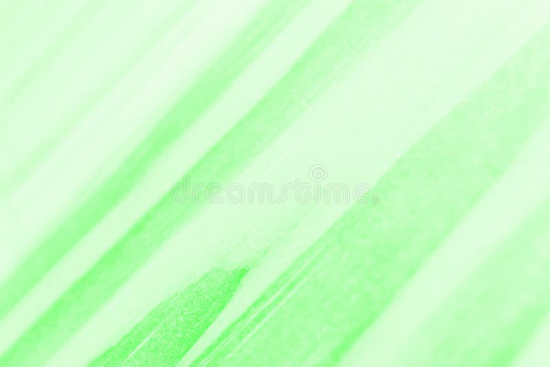 Green Background for Text or Pictures Stock Illustration - Illustration ...