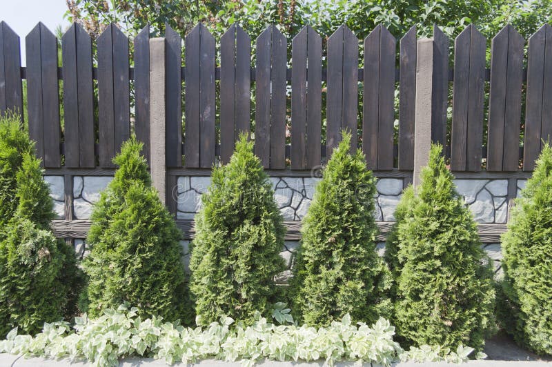 Green Background with Trees, Bushes and Fence Stock Photo - Image of ...