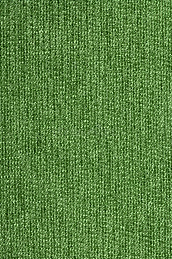 Money Green Color Pictures And Images - RGB Color Hex Code [#408040 - 68%]