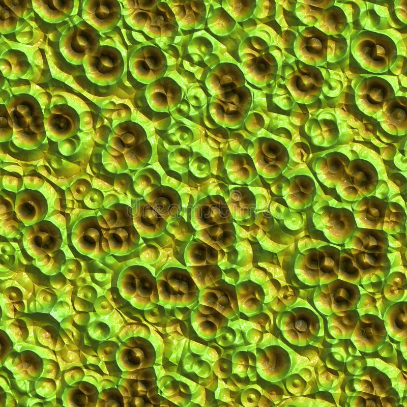 Bacteria under microscope stock illustration. Illustration of bacteria ...