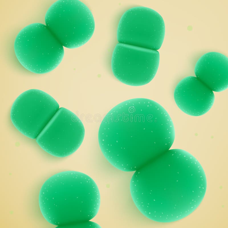 Enterococcus Faecium Bacteria Realistic Vector Stock Vector ...