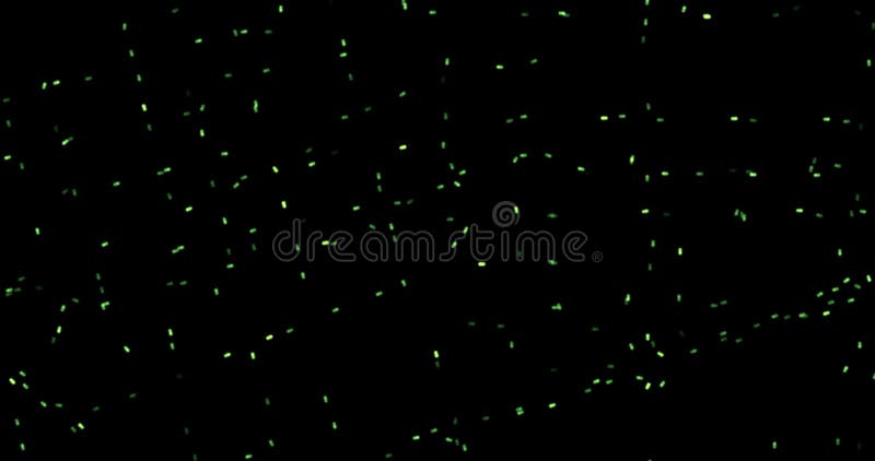 Green Bacteria or Germs Microorganism Cells Under Microscope in the ...