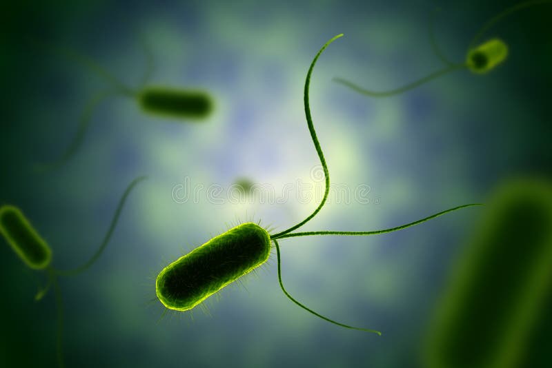 Flagella Stock Illustrations – 2,674 Flagella Stock Illustrations ...