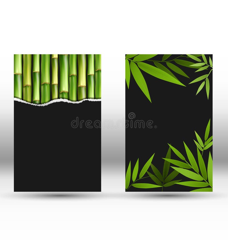 Bamboo with Leaves. Brochure Business Design Template or Roll Up Stock ...