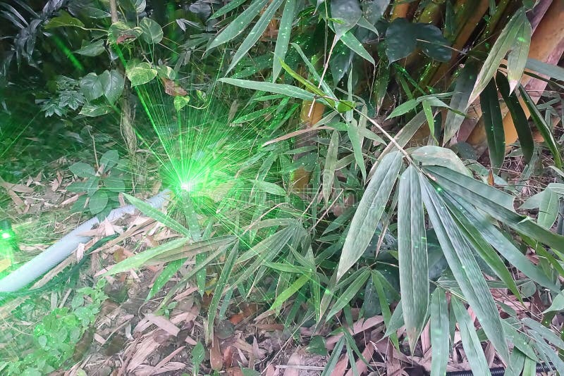 Green Lighting Flare and Flash. Stock Photo - Image of lighting ...