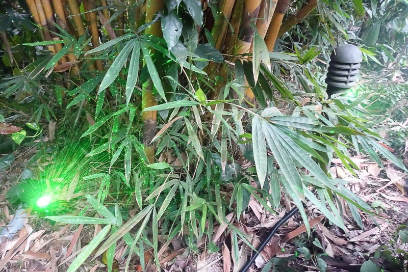 Green Lighting Flare and Flash. Stock Image - Image of brilliant ...