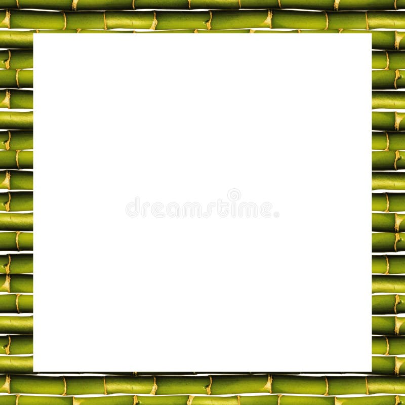 Green Bamboo Square Frame Texture, Green Bamboo Background Stock Image ...