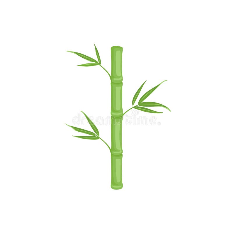 Green Bamboo Stalk with Leaves. Vector Cartoon Flat Illustration Stock ...