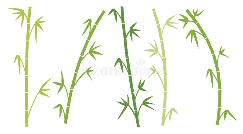 Green Bamboo Stems Vector Illustration Stock Vector - Illustration of ...