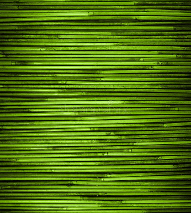 Green Bamboo Texture with Natural Patterns, Close Up. Stock Photo ...