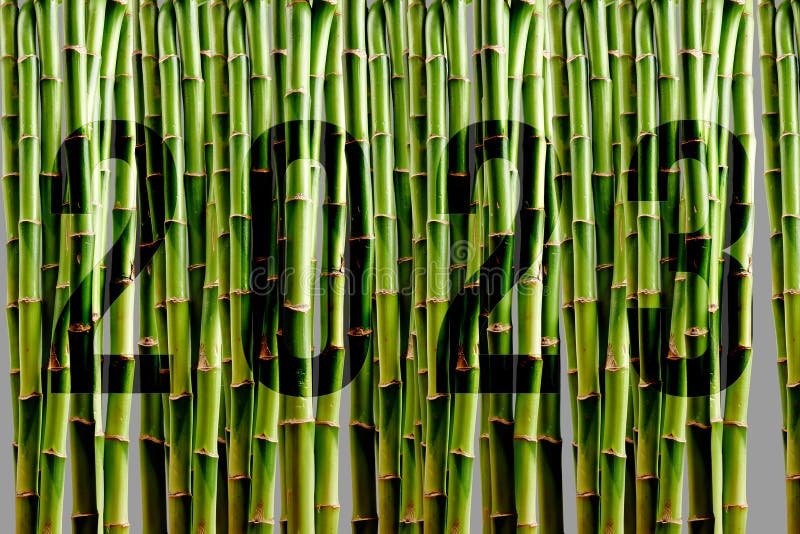 Green Bamboo Wall Backround in Front View Stock Image - Image of decor ...