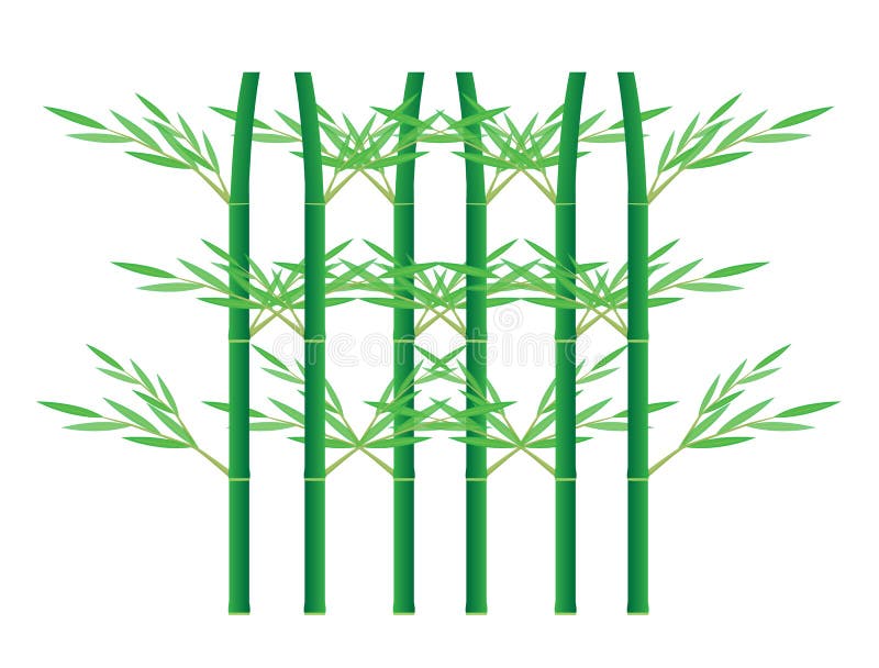 Bamboo Root Stock Illustrations – 288 Bamboo Root Stock Illustrations ...