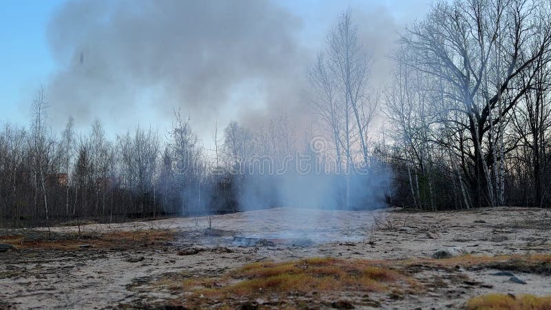A Green Barrel is Sitting in the Dirt Next To a Tree. Explosion of a ...