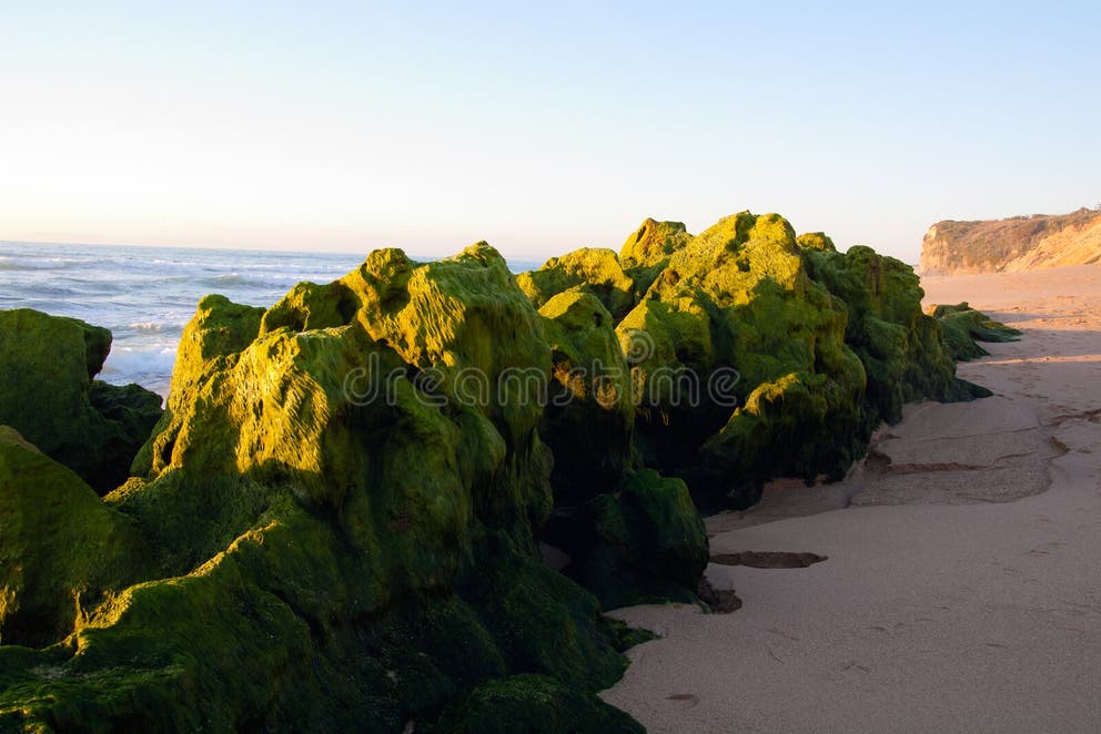 Green beach rocks stock image. Image of sesimbra, waterweed - 19417607