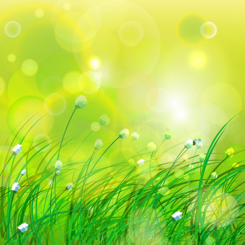 Light Green Background Vector Stock Illustrations – 454,182 Light Green ...